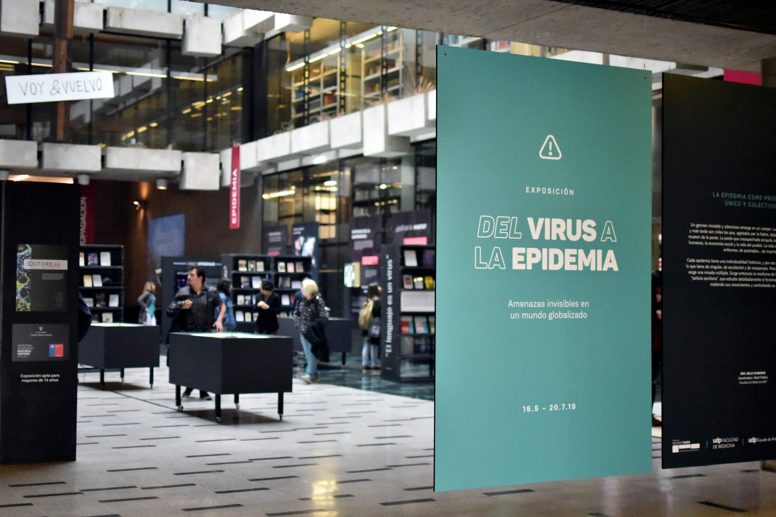 Entrevista a Leonor Castañeda: la importancia de lo interdisciplinar ...